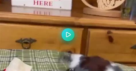 Sound On Album On Imgur