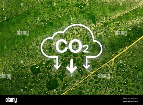 Co2 Reduction Icon On A Green Leaf With Droplets Co2 Reduction Concept