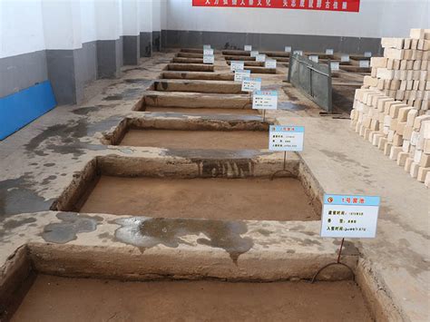 窖池陕西金醇古酒业有限责任公司官网