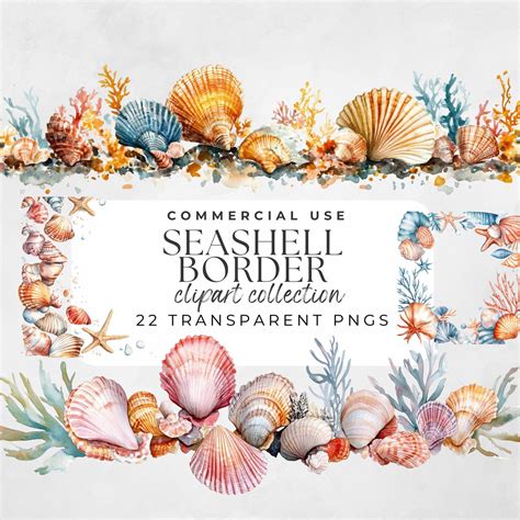 Seashell Border Clipart Seashells Watercolor Seashell Borders Png