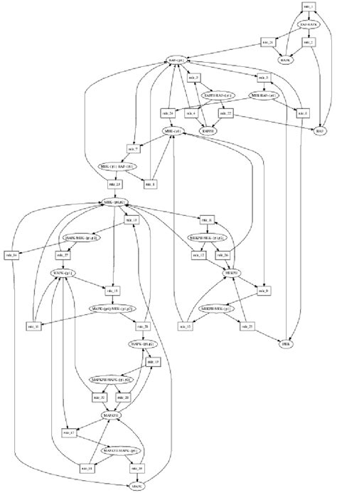 Reaction Graph Of The Mapk Model Download Scientific Diagram