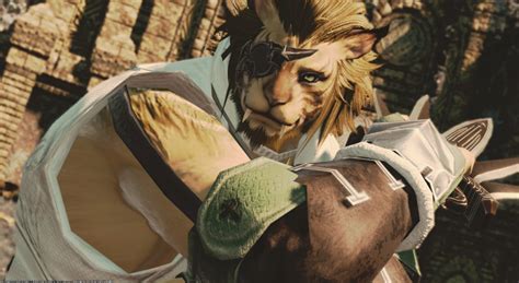 Dancing Assassin Eorzea Collection