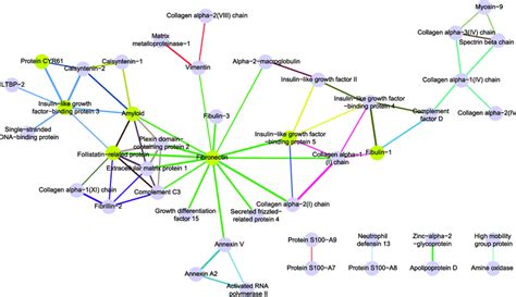 Secondary Interaction Promoting Model Systems Of