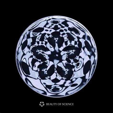 Faraday Waves — Beauty Of Science