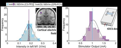 A Distribution Of E Field Intensity V M In Left M1 Using