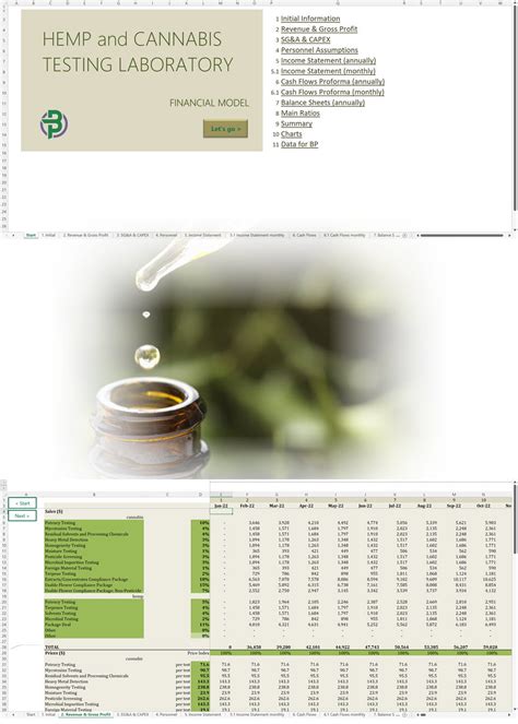 Cannabis And Hemp Cbd Testing Laboratory Financial Model Business Plan Templates