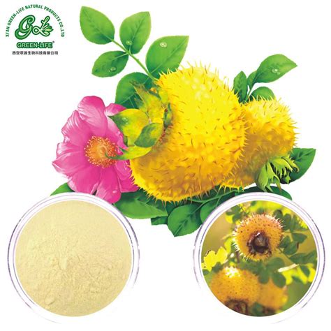 Roxburgh Rose Extract Natural Antioxidant For Skin Immune Boost