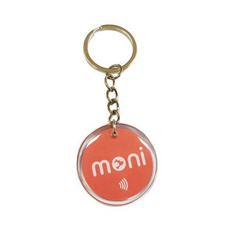 Customizable Nfc Rfid Keychain Programmable Logo 1356mhz Mini Tag