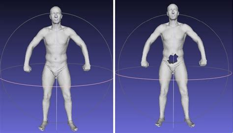 Github Neginbagherzadideformable Shape Completion