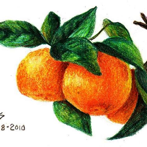 Colored Pencil Drawing T At Rosalind Caine Blog