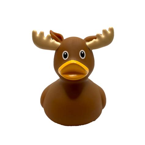 Moose Rubber Duck Duckhousebrighton