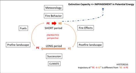 An Energetics Perspective Of Fire Ecological Disturbances And Landscape