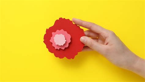 Hyperovulation Causes Signs And Helpful Supplements