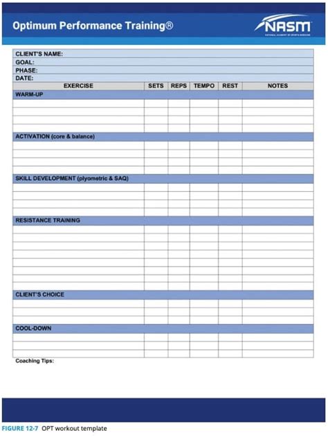 Master The Nasm Opt Model In 2024 Your Ultimate Guide