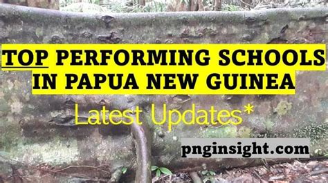 How To Download 2024 Grade 10 Selection List Pdf For 2025 Grade 11 News