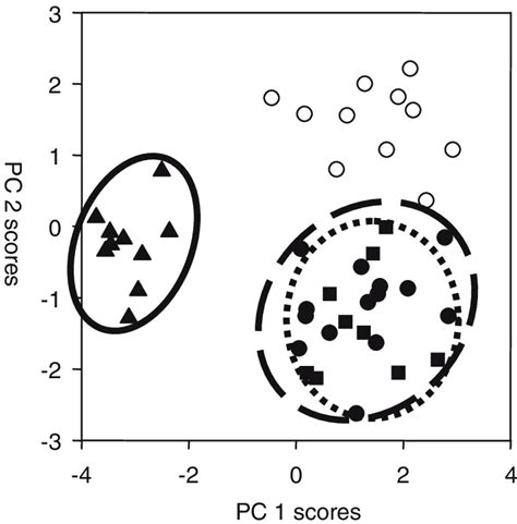 Theoretical Example Of The Outcome Of A Pattern Recognitionbased