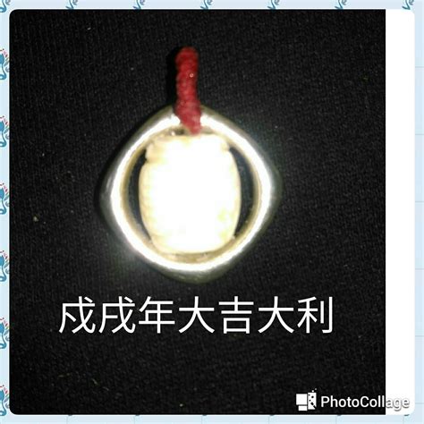 露營地 石秀灣五葉松 五葉松營地祝福大家~