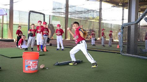 D Backs Baseball Academy Arizona Diamondbacks