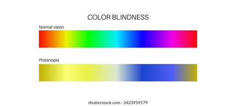 Protanopia Vision Color Blindness Infographic Human Stock Vector