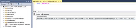 Running Sql Server In Windows Subsystem For Linux Wsl Dba From The Cold