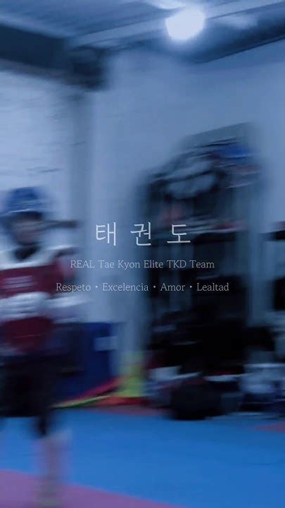 😤 Tkd Tkd Real Ko Taekwondo Dreams Sport Sparring Elite Team