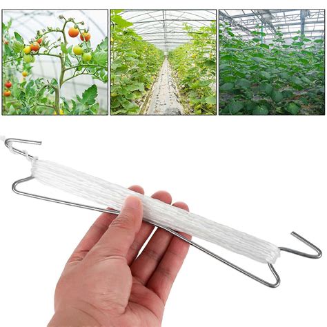 2023 New Tomato Support Hook 15pcs Prevent Tomatoes Plant Climbing Hooks 15m From Pinching