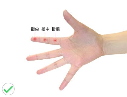 薄型指静脉识别模组 Cortex 内核自适应 Usb 免驱 Uart 串口通信 活体检测