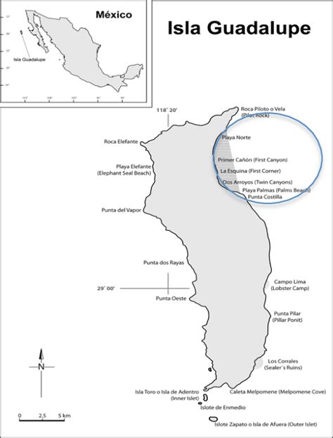 Guadalupe Island Map