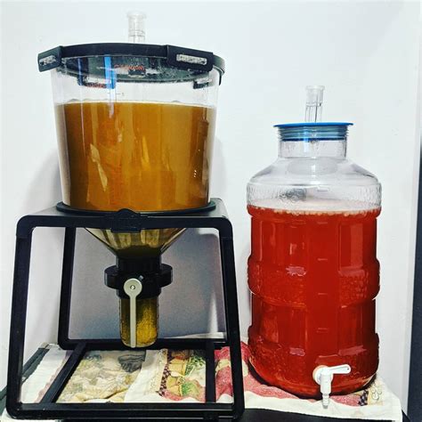 The Pros And Cons Of Glass Vs Plastic Vs Stainless Steel Homebrewing