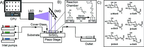 A The Glycan Microarray Printer Syringe Pumps Deliver The Inks Into
