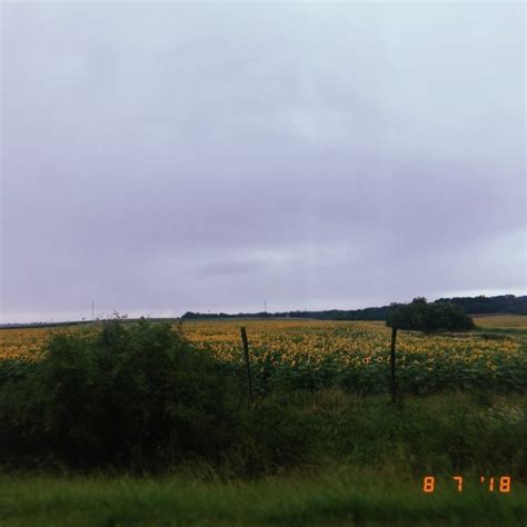 Allison Allisonrejones • Threads Say More