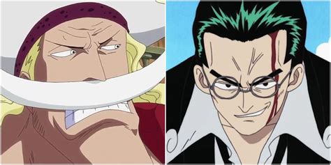 Nico Robin Tequila Wolf