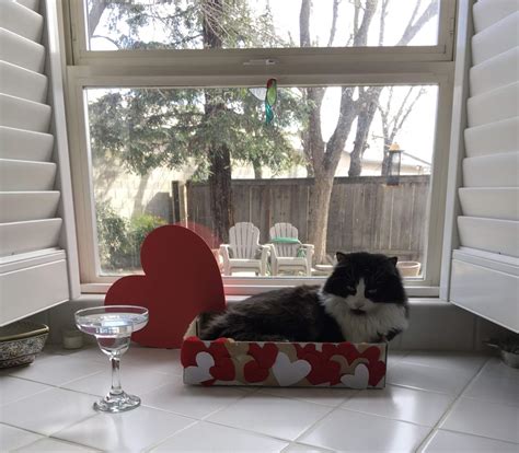 Solve Izzy In A Romantic Pose Jigsaw Puzzle Online With 120 Pieces