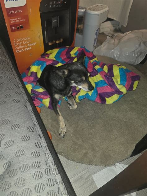 Kimberly Smith Kimberly Smith Added A New Photo