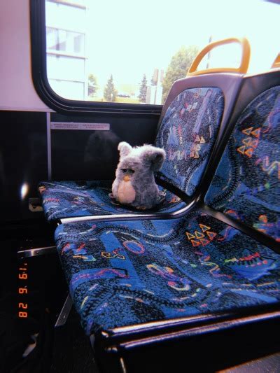 Where Is She Going Tumbex