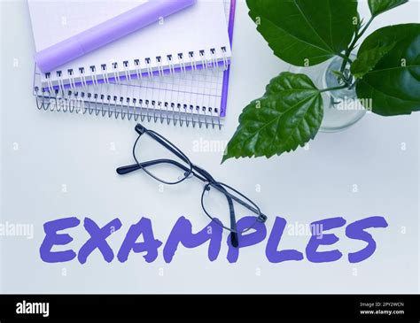 Text Showing Inspiration Examples Business Overview Photo Sample Model To Follow Guide