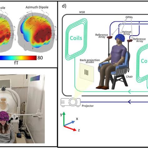 Pdf Using Opm Meg In Contrasting Magnetic Environments
