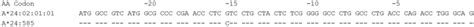 alignment of the sequence of exon 1 of hla‐a 24 585 with the sequence