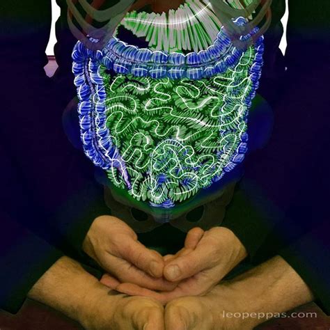 8 Best Enteric Nervous System Images On Pinterest Enteric Nervous