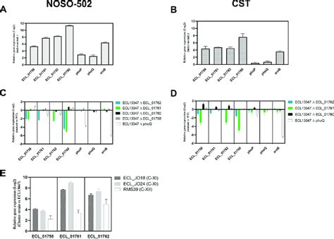 Rt Qpcr Comparative Analysis Of Ecl01758 Ecl01760 Ecl01761 Download Scientific Diagram