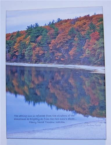 Autumn At Walden Pond With Thoreau Quote Photographic Canvas By Andrew Syiek