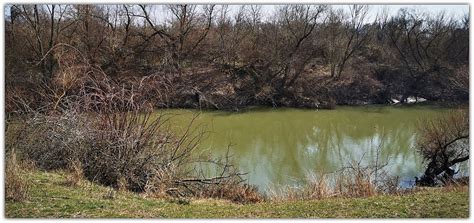 10 Lunca Timisului Pressalert Ro