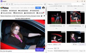 如何下载 Pictoa 图片和 ？ Imaget