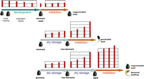 Figure 1 From From Intracellular Signaling Networks To Cell Death The