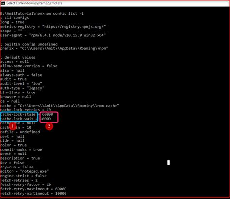 Node Package Manager Tutorial Step By Step