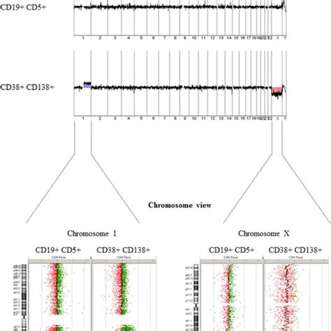 Dna Copy Number Analysis The Genome View Upper Panel Generated