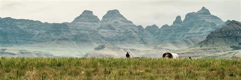 Die Sneeu En Goudvelde Racheltjie De Beer