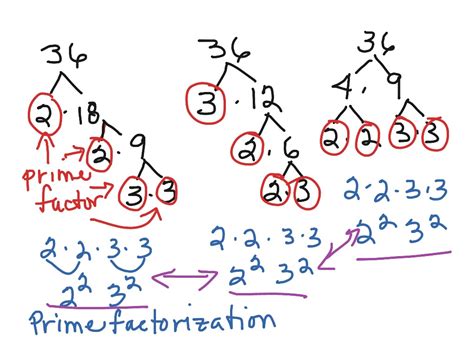 Basic Math Prime Factor At Jonathan Middleton Blog