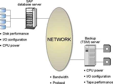 Follow These Tips To Improve The SAP Oracle Database Backup And Restore Performance Storage