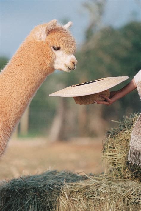 Delphine Brunner 20 C Heads Magazine Delphine Brunner 20 C Heads Magazine